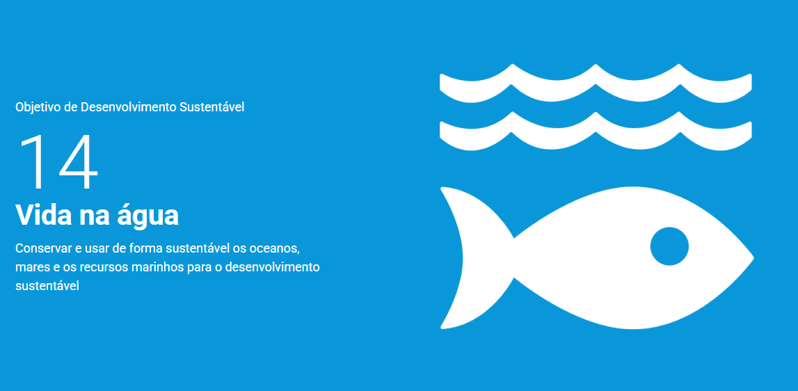 ODS 14 – Biotecnologia na Comunidade